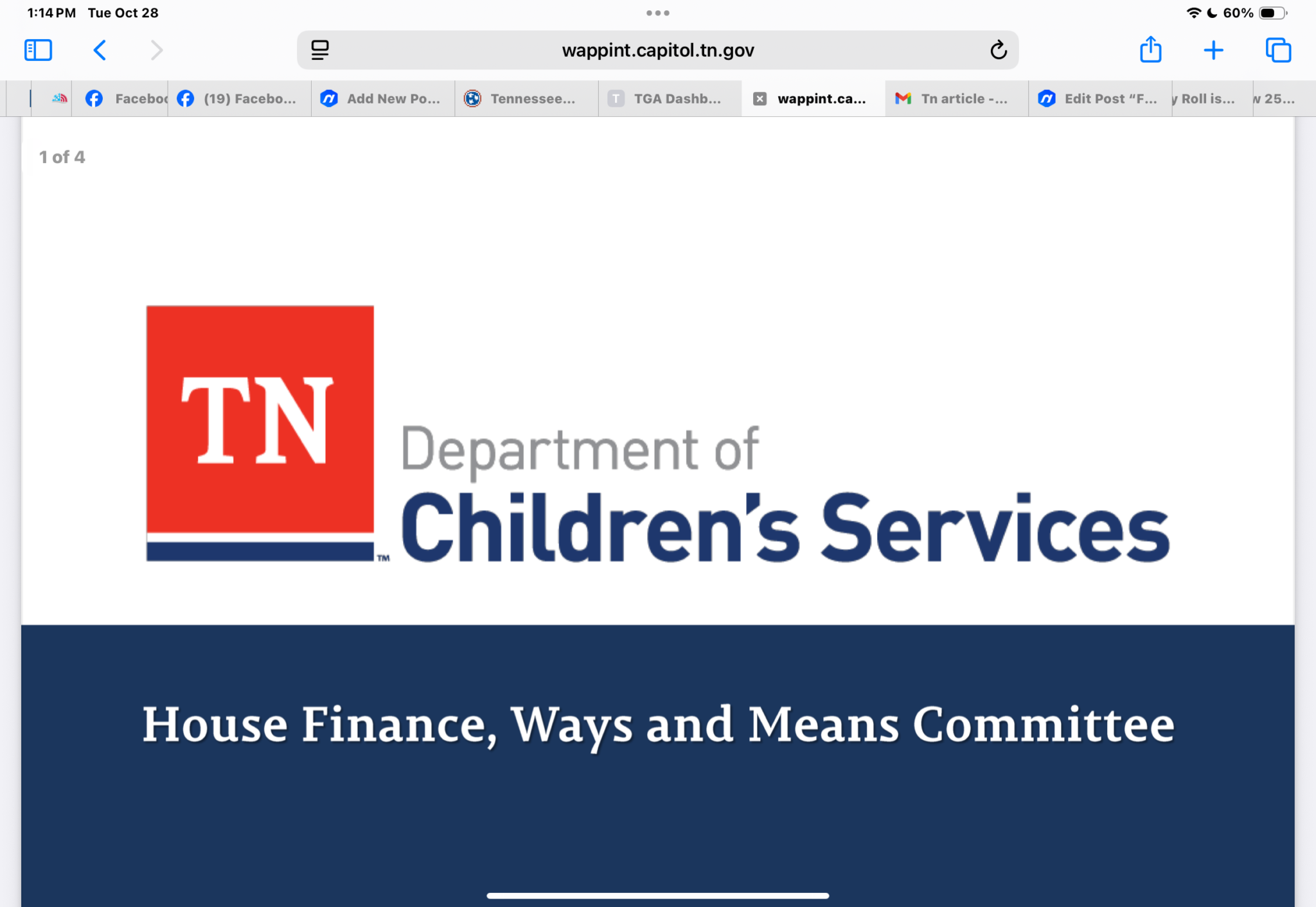 Justice with a Heart: Inside the Safe Baby Court Program Breaking ...